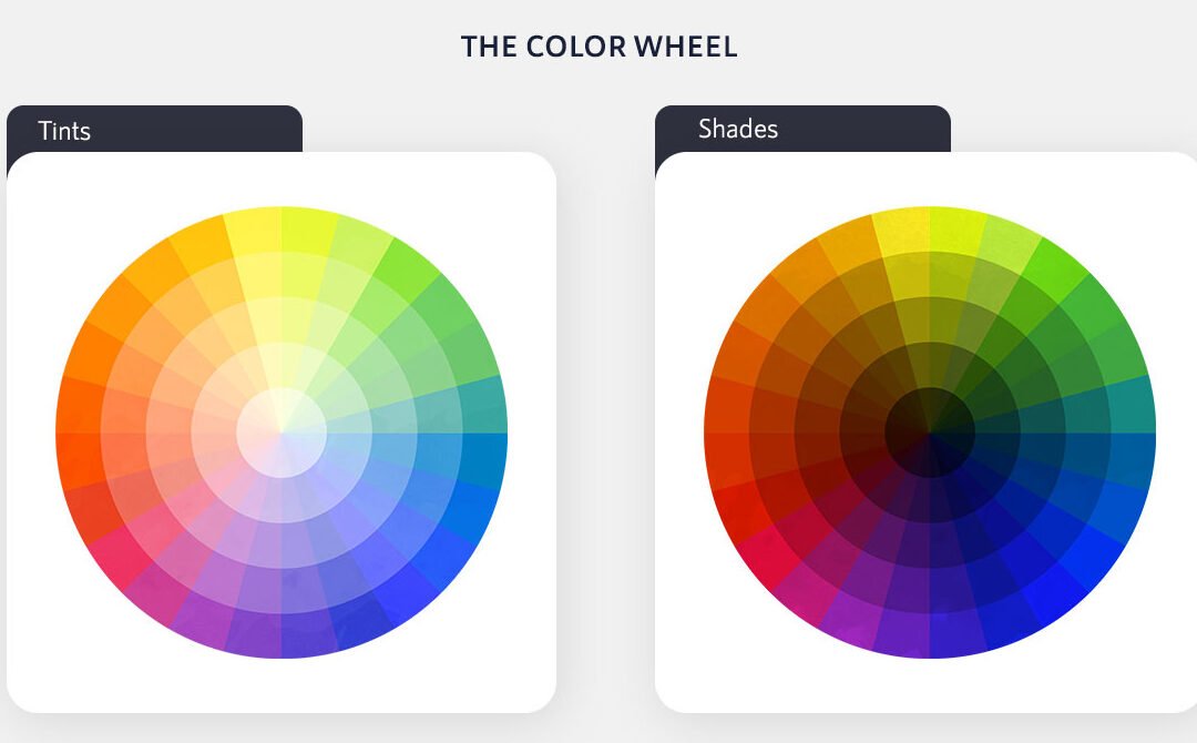 Descubre La Increíble Paleta De Colores AI Para Tus Diseños
